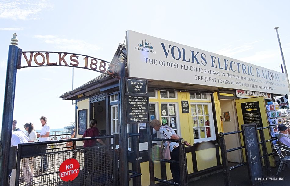 Brighton Volks Electric | The Chic Advocate