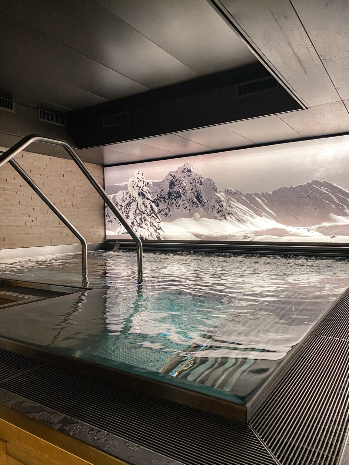 Precise Tale Seehof Davos-10 | The Chic Advocate
